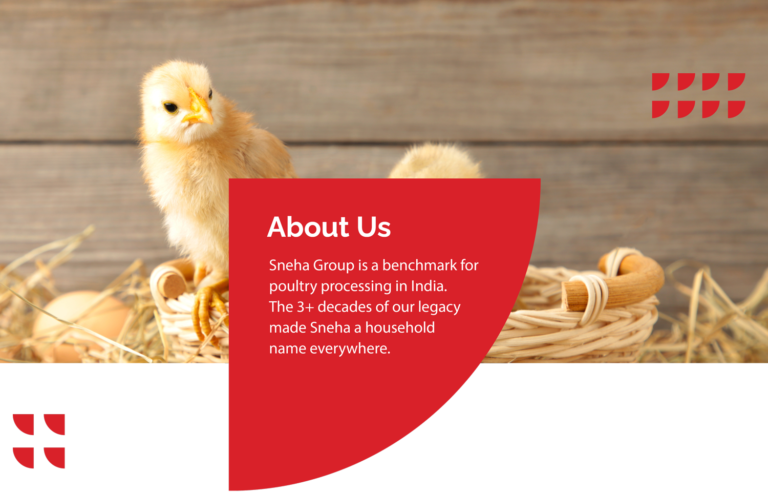 About Us | Sneha Group